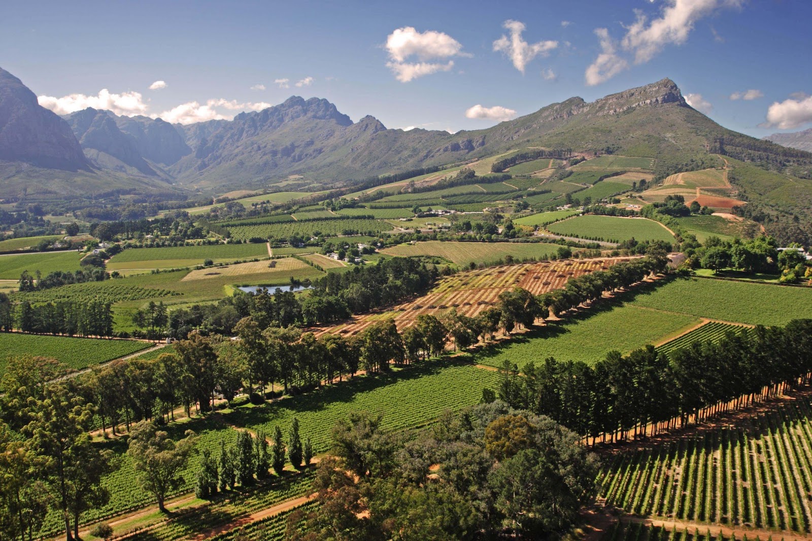 Cape Winelands | Cape Town Attraction - St James Guesthouses
